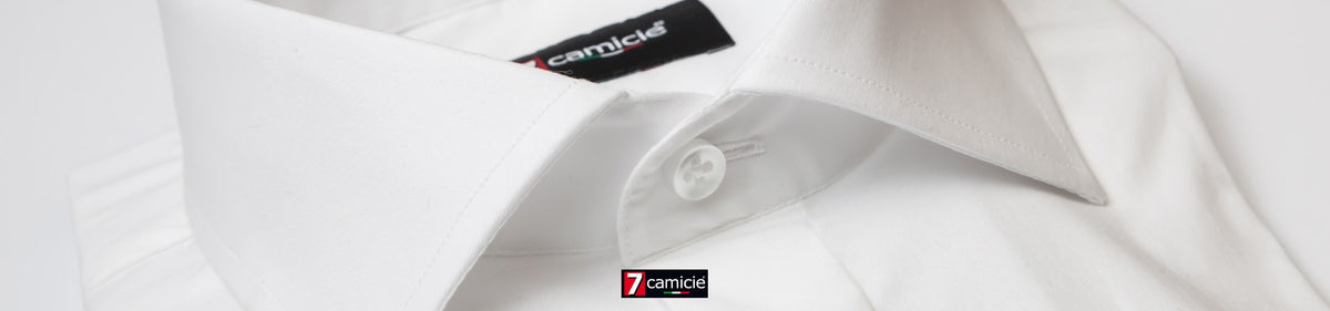 THE REGULAR SHIRTS – 7 Camicie